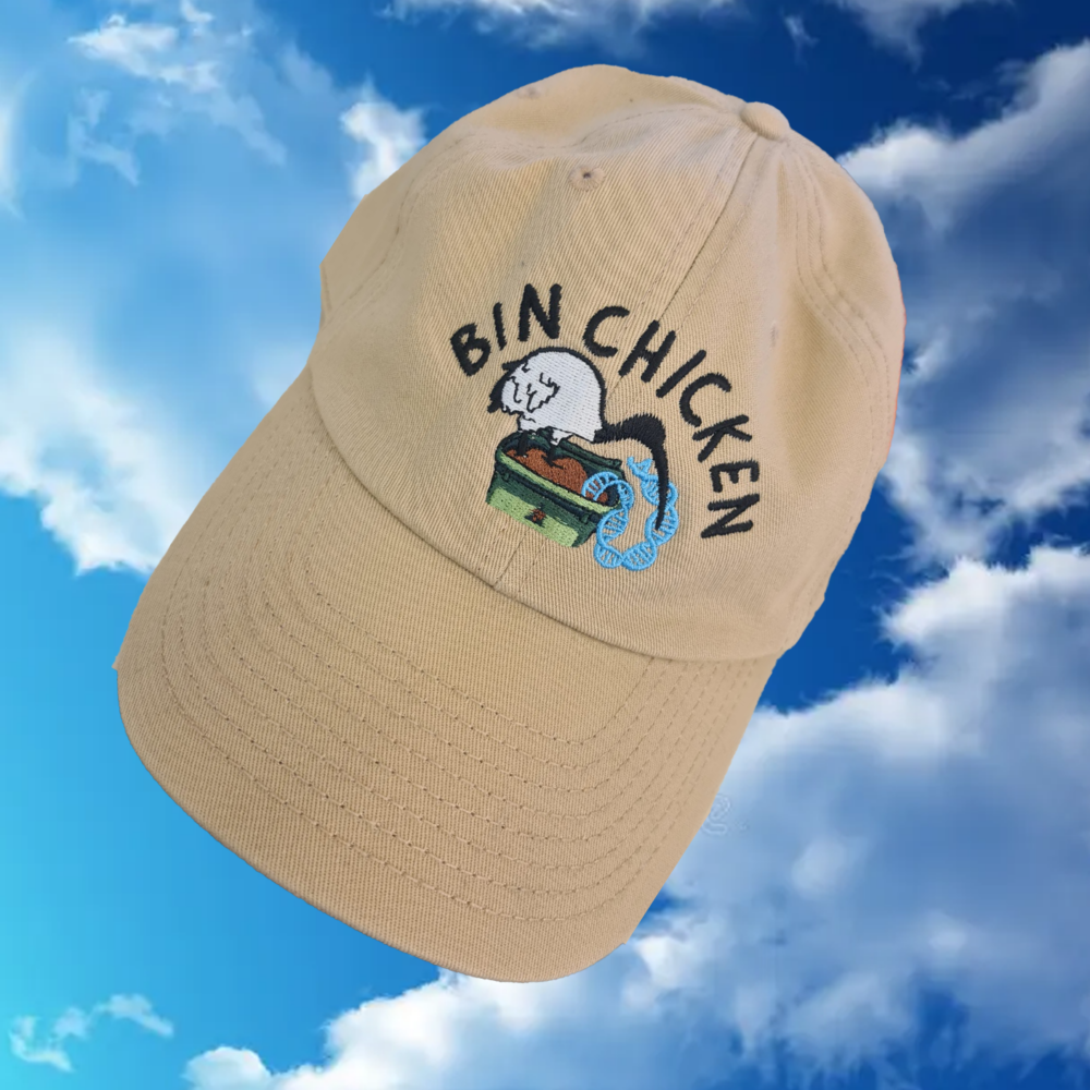 bin chicken hat – Georgina Joyce